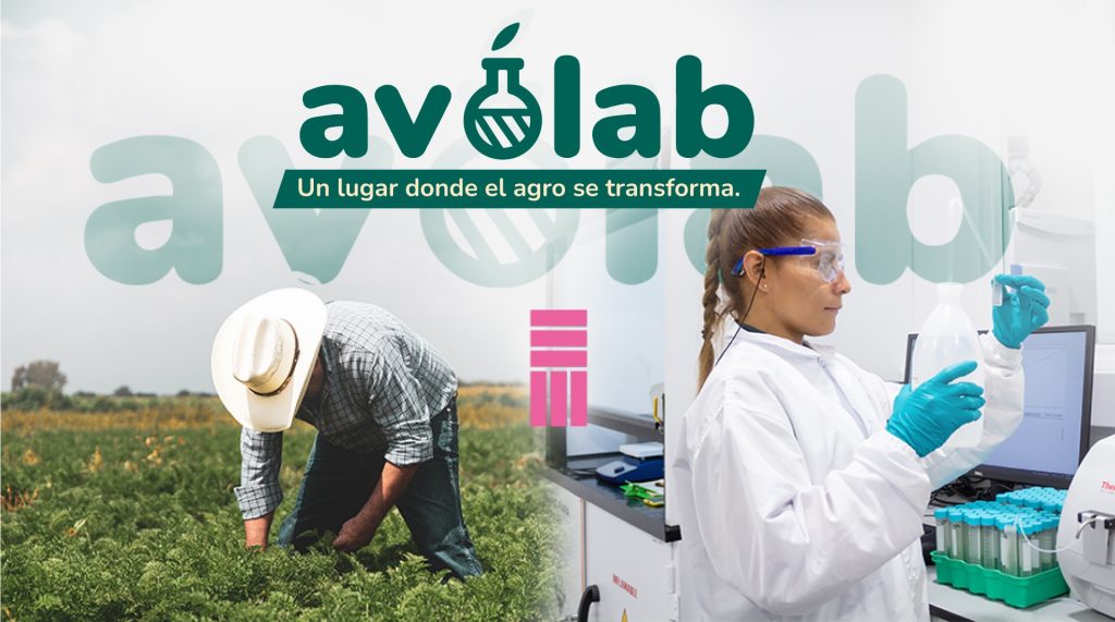Inicio - Avolab